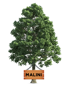 Utsav Hills – Vgsaigroup